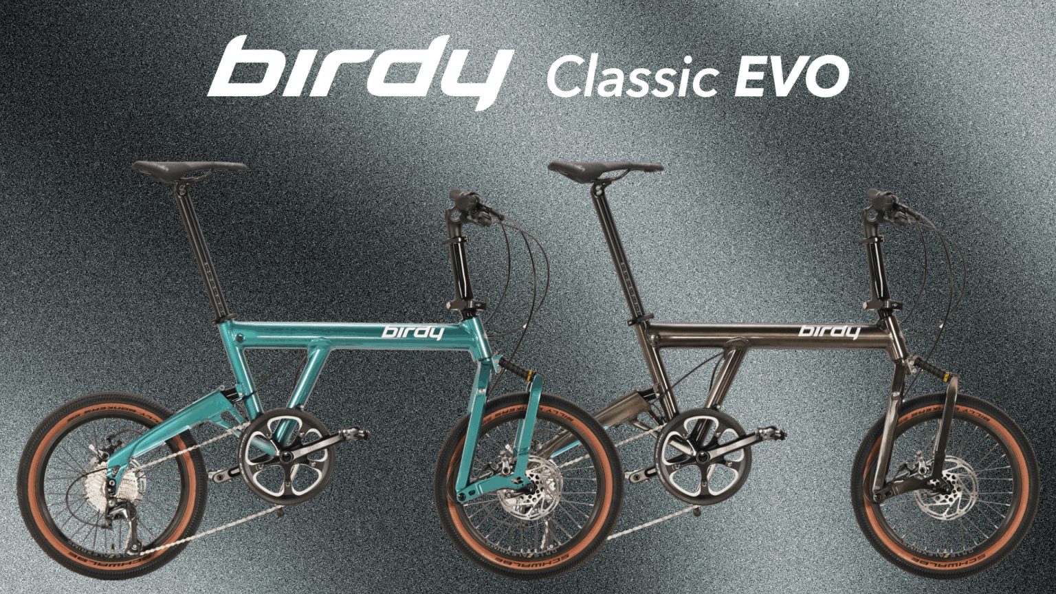 【NEW】birdy Classic EVO 新色発売 - blog